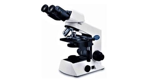 10 Best Microscope Brands 2024 Top Microscope Manufacturers