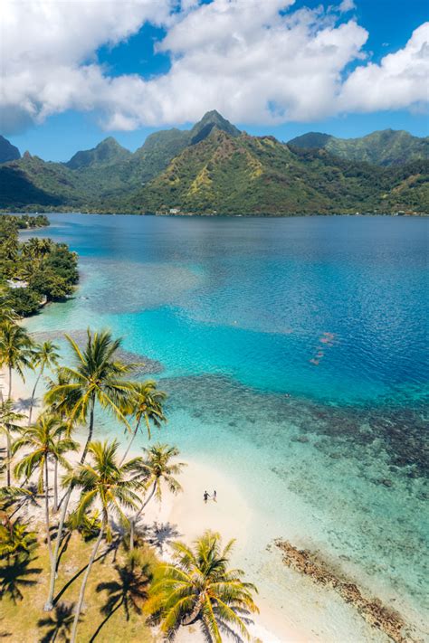 Ultimate Moorea Travel Guide 7 Days In Moorea French Polynesia