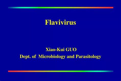 Ppt Flavivirus Powerpoint Presentation Free Download Id5690116
