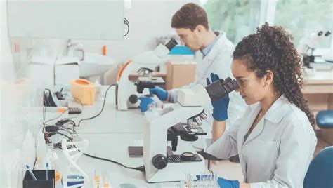 Customized Lateral Flow Test Development Artron