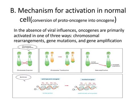 Oncogene Pptx