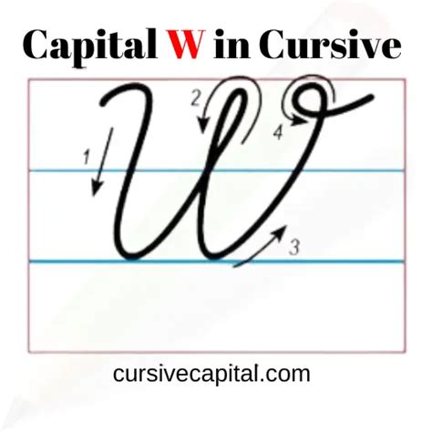 Cursive Letters Alphabet Cursive Capital