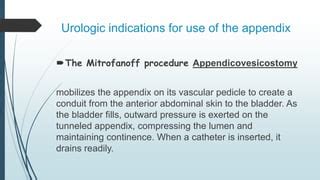 Incidental Appendectomy Pptx