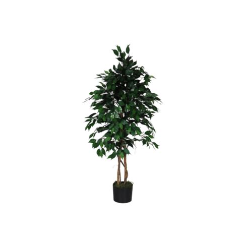 Ficus Benjamin Pianta Finta Verde In Vaso 180h Cm Tibiesse