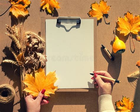 Autumn Mockup Copy Space Natural Fall Leaves Wheat Ears Small
