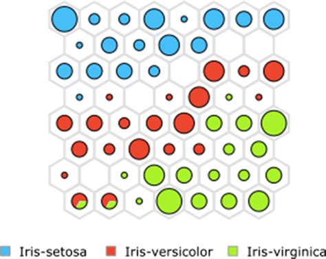 Self Organizing Map On The Iris Dataset Download Scientific Diagram