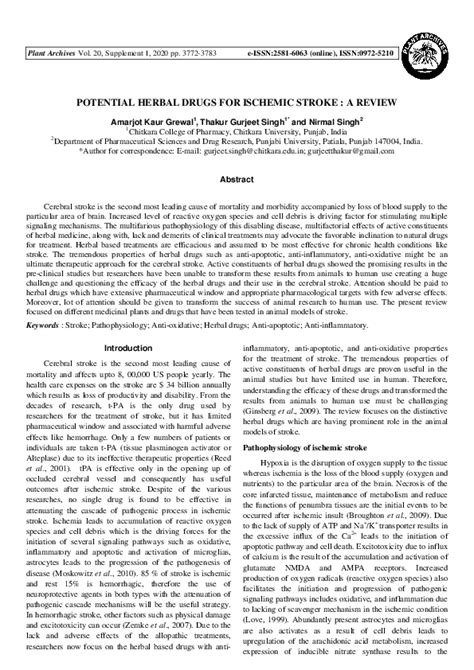 Pdf Potential Herbal Drugs For Ischemic Stroke A Review