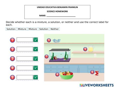 Mixtures And Solutions Live Worksheets