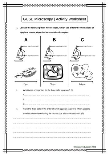 Gcse Biology Microscopy Activity Worksheet Teaching Resources