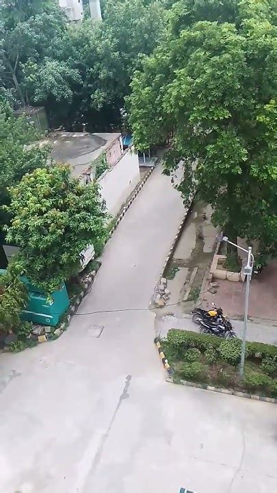 Dipsar Univercity Youtube