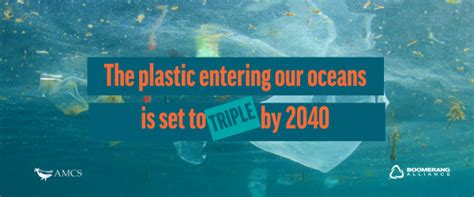 Sign The Petition To Reduce Single Use Plastics Mornington