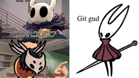 The 15 Best Hollow Knight Memes Vgkami