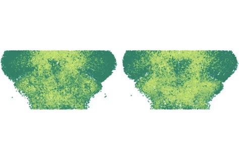 Olfaction Autism Linked Genes In Monkeys Eye Movements The