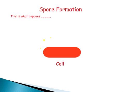 Bacterial Cell Structure Functionpptx