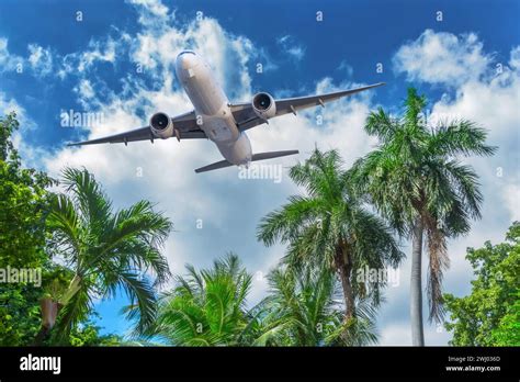 Airliner Passenger Jet Aircraft Take Off Over The Tropical Palm Trees Of An Exotic Island