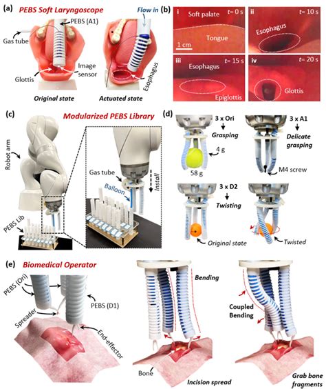 We Are Thrilled To Share Our Work “lightweight Pneumatically Elastic