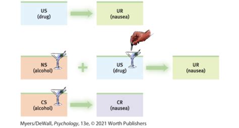 Therapy Flashcards Quizlet
