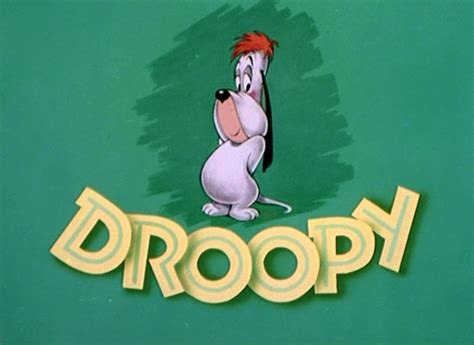 Señor Droopy 1949 The Internet Animation Database