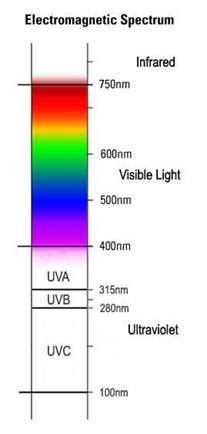 Uv Wavelength Spectrum Do You Really Know The Effect Of Uv Light On