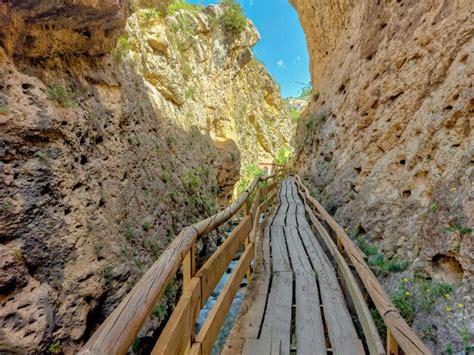 Premium Photo Mountain Path