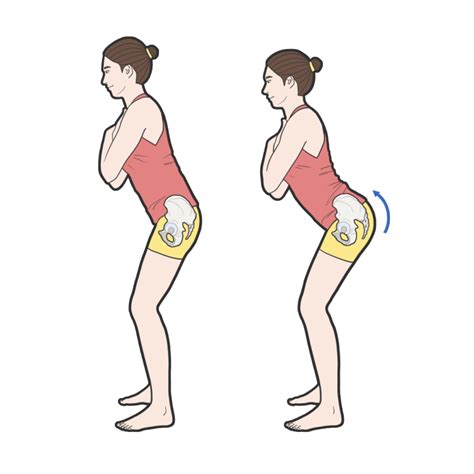 길동역헬스장 허리디스크관절 가동성and 안정성 요추 신전 회전 증후군 네이버 블로그