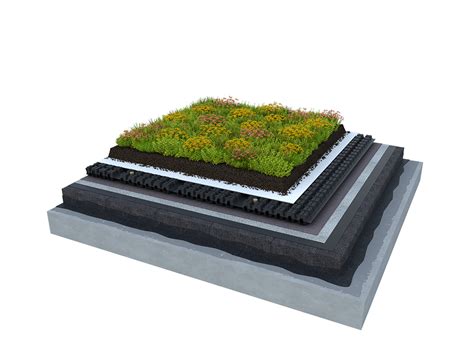 Alles über Die Partnerschaft Mit Foamglas Optigrün