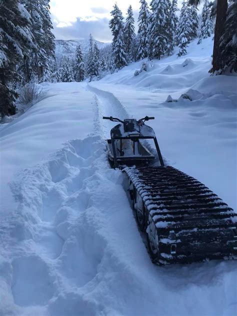 Мотособака электрическая Tracksled | SNOW-BIKE