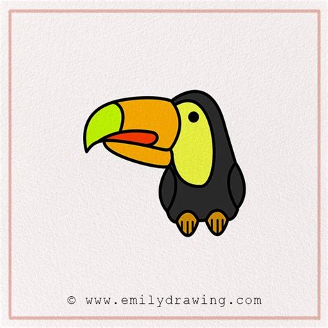 Toucan Drawing Step By Step Maxresdefault How To Draw A Toucan Bird