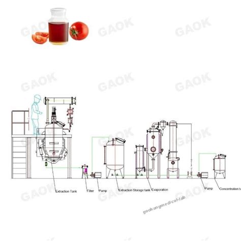 Premium Mushroom Extract Machine For Lions Mane Reishi Cordyceps And