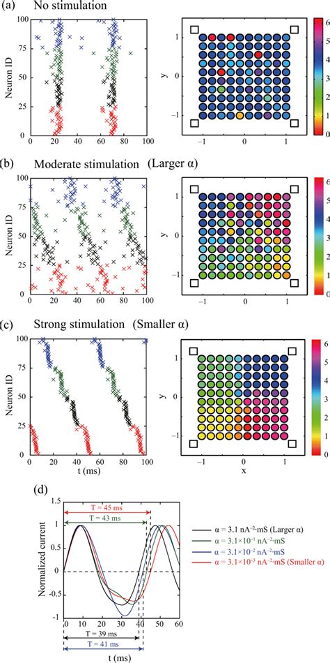 Examples Of The Network Firing Pattern A The Case Without Current