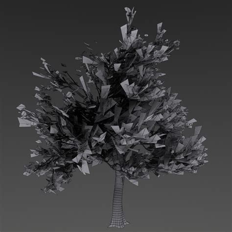 Maple Tree 3d Model