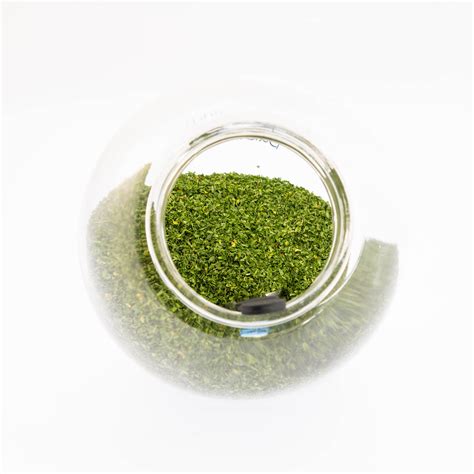 Coriander Leaf The Refillery Canterbury