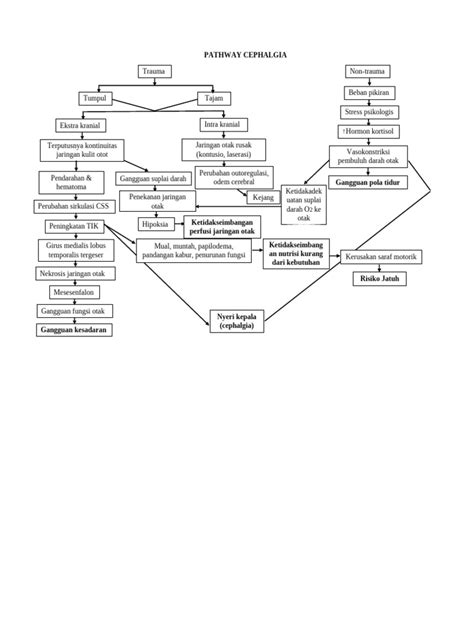 Pathway Cephalgia Pdf