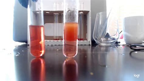 Solved Tests For Lipid Tests For Lipids Are Based On A 54 Off