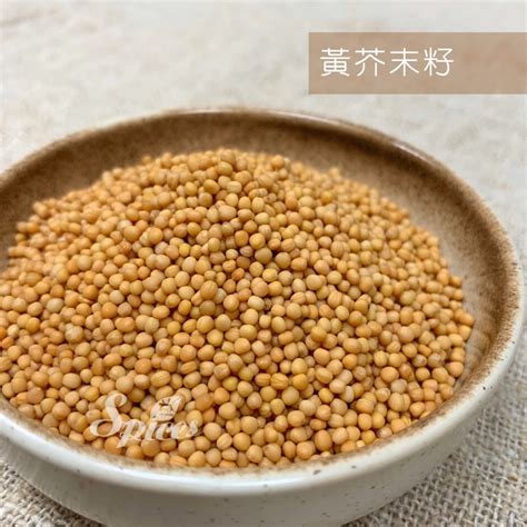 【嚴選】黃芥末籽 黃芥末子 White Mustard Seed 蝦皮購物