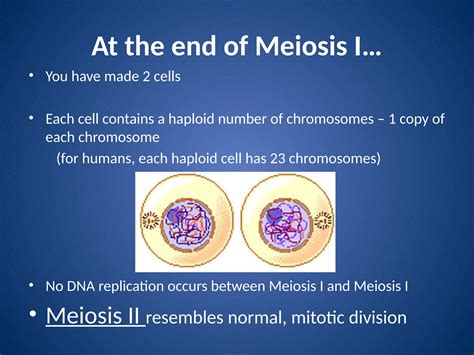 Science Cell Division Mitosis Meiosis Pptpptx
