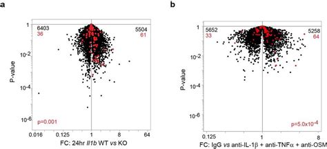 Induction Of The Inflammatory Mmsc Subtype Is Not Strictly Dependent On Download Scientific