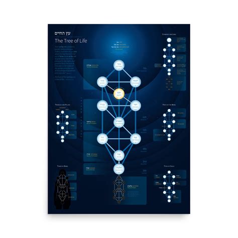 Tree Of Life Of Kabbalah Poster Etsy