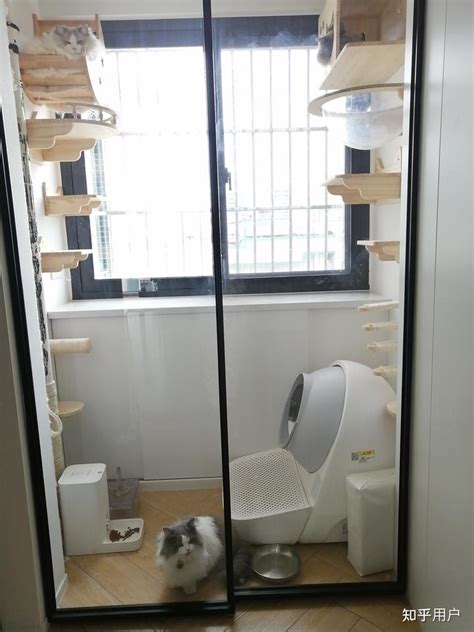 养猫需要购买空气净化器吗？