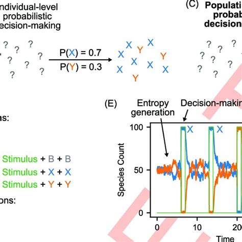 Probabilistic Decision Making In Stochastic Chemical Reaction Networks