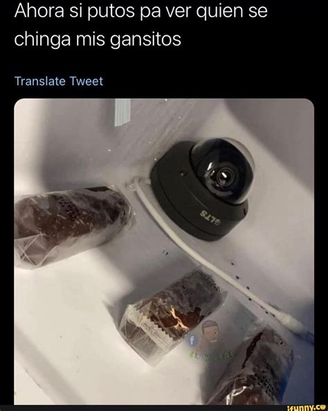 Gansitos Memes Best Collection Of Funny Gansitos Pictures On Ifunny