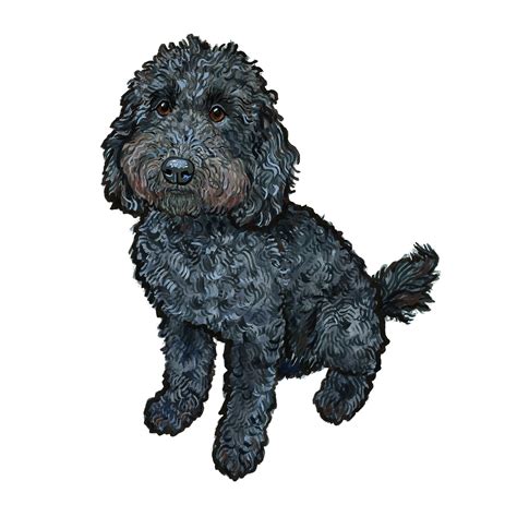 Black Cockapoo Print Pet Portrait Illustration