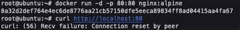Docker Timeout On Basic Nginx Image With Trying To Access Localhost Stack Overflow