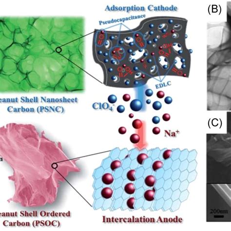 A A Synthetic Illustration For The Cathode And Anode Materials Derived