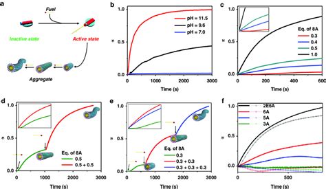 Characteristics Of Alkyl Amine Driven Supramolecular Polymerization A