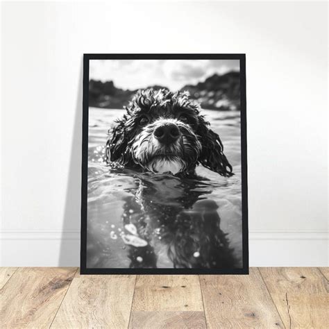 Black And White Cockapoo Swimming In Ocean Print Framed Print Mounted Framed Poster Etsy