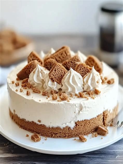 Decadent Lotus Biscoff Ice Cream Cake Youll Crave All Summer Recipes