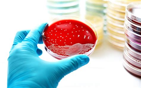 Discover World Abs Health Nutrition