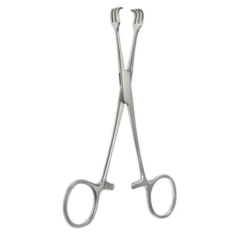6 Triple Hook Lahey Traction Forceps 3x3 Prong Surgical