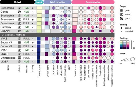 Driving Innovation In Single Cell Analysis On Aws Aws Public Sector Blog